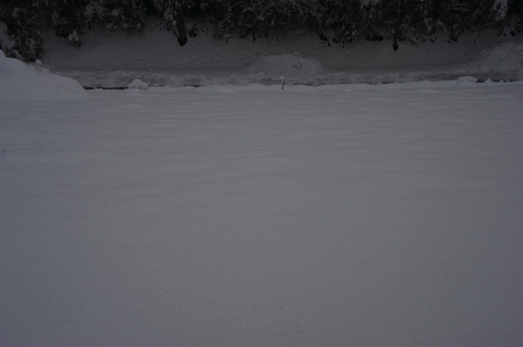 2日の朝 » ちょっとニュース CHOTTONEWS